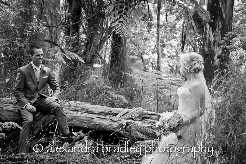 Alexandra Bradley Photography - Wedding Photography Melbourne - Wedding VIC